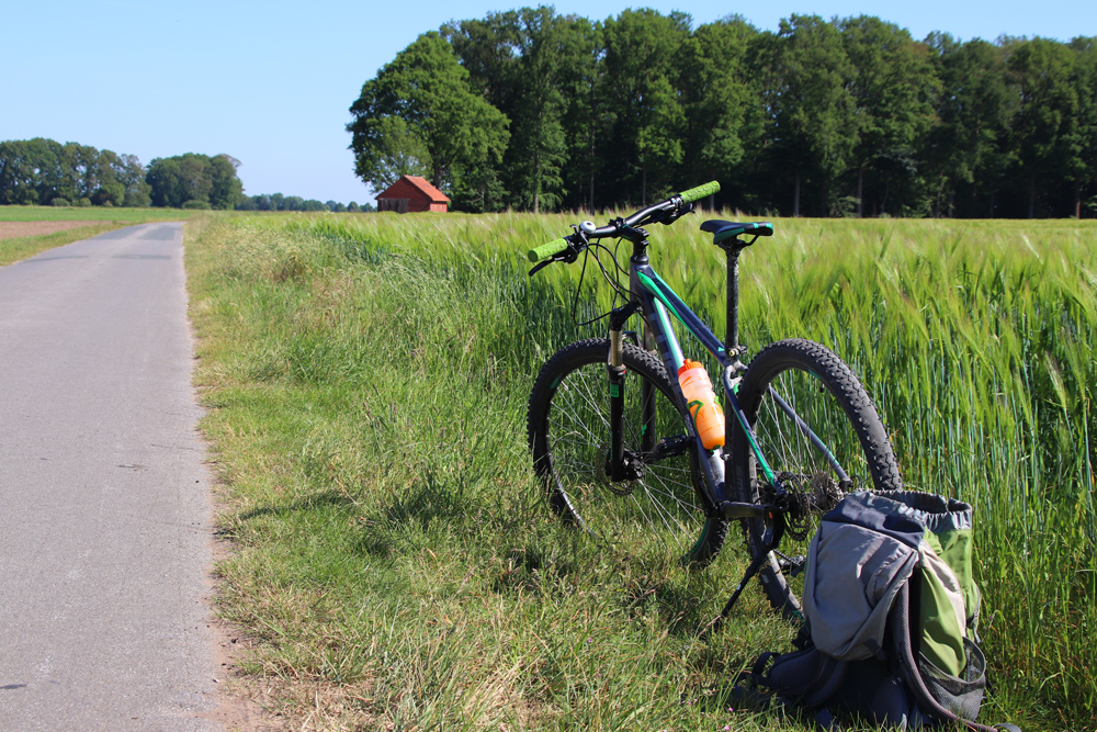 Runter vom Sofa und rauf aufs Fahrrad - Kolping-Radeln bringt neue Bäume - bigge-online.de
